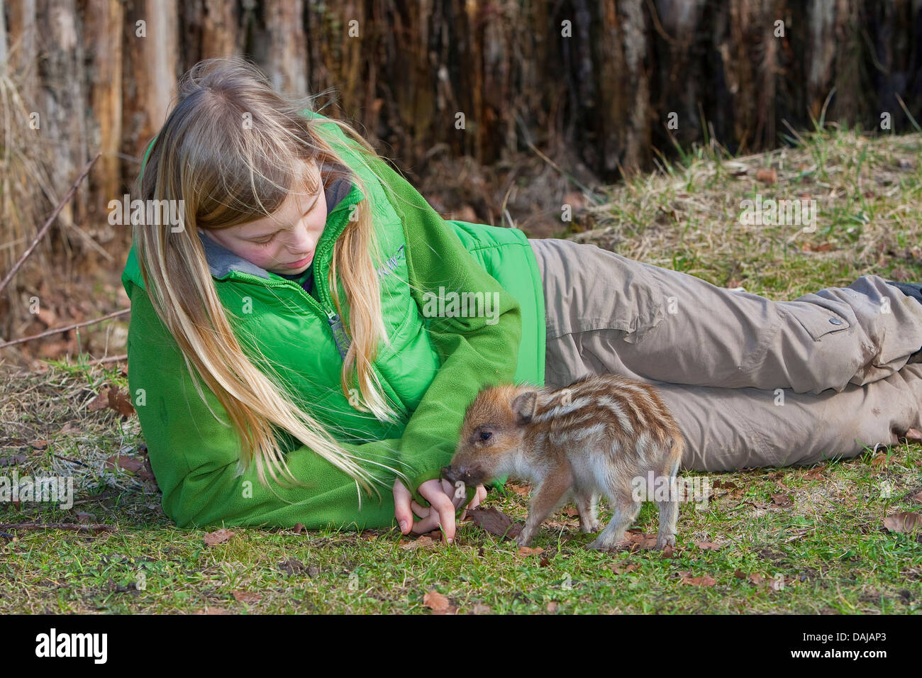Shote in the garden hi-res stock photography and images - Alamy