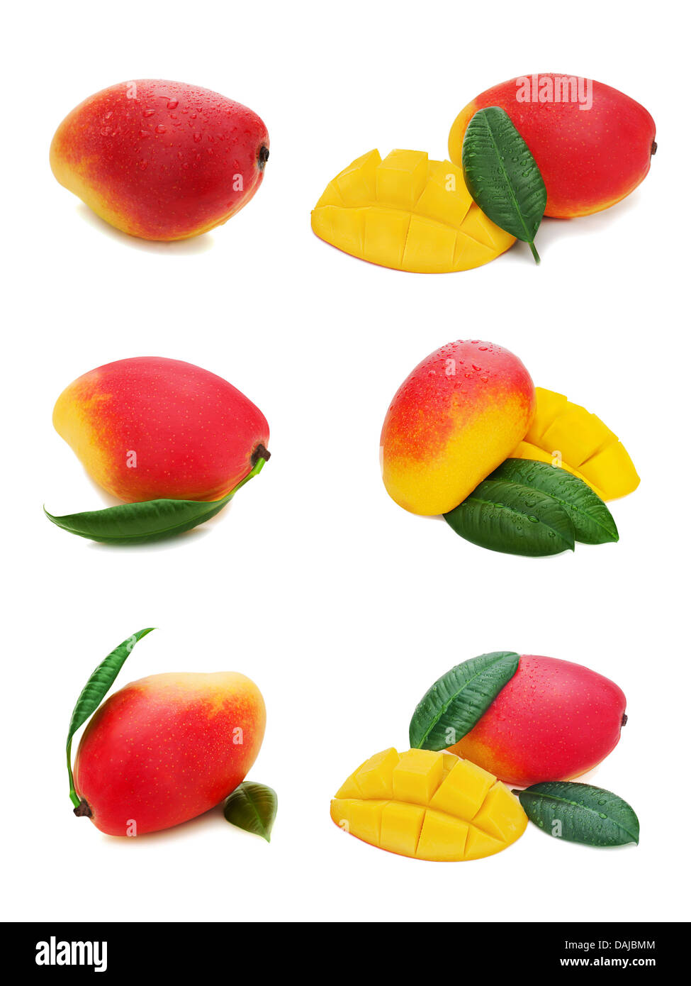 Set of fresh mango fruits isolated on white background Stock Photo - Alamy