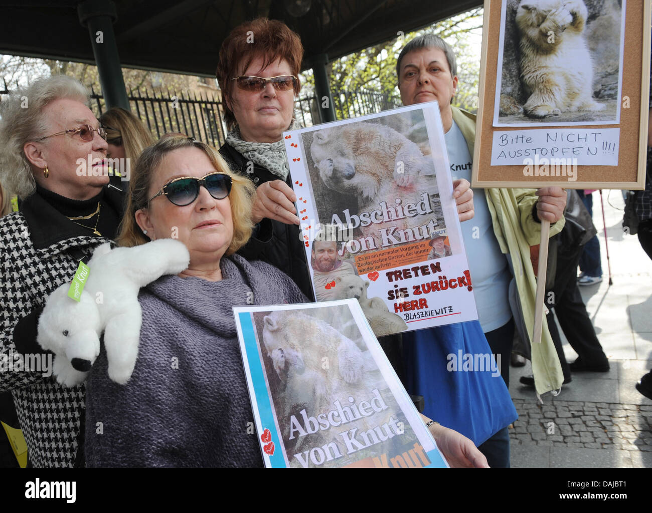 Autopsy brain hi-res stock photography and images - Alamy