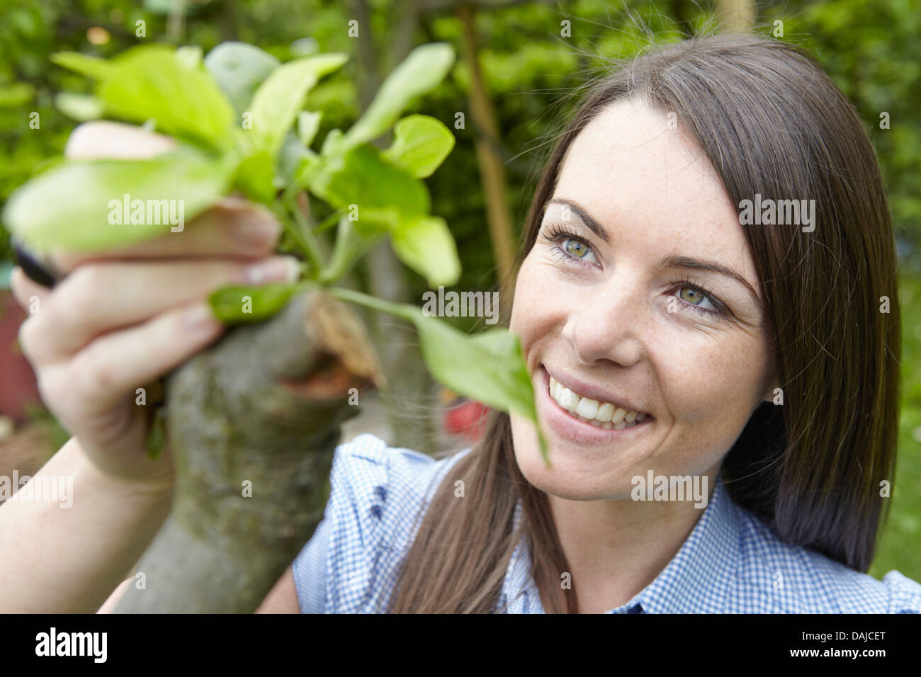Germany, Cologne, Young woman holding tree blossom, smiling Stock Photo ...