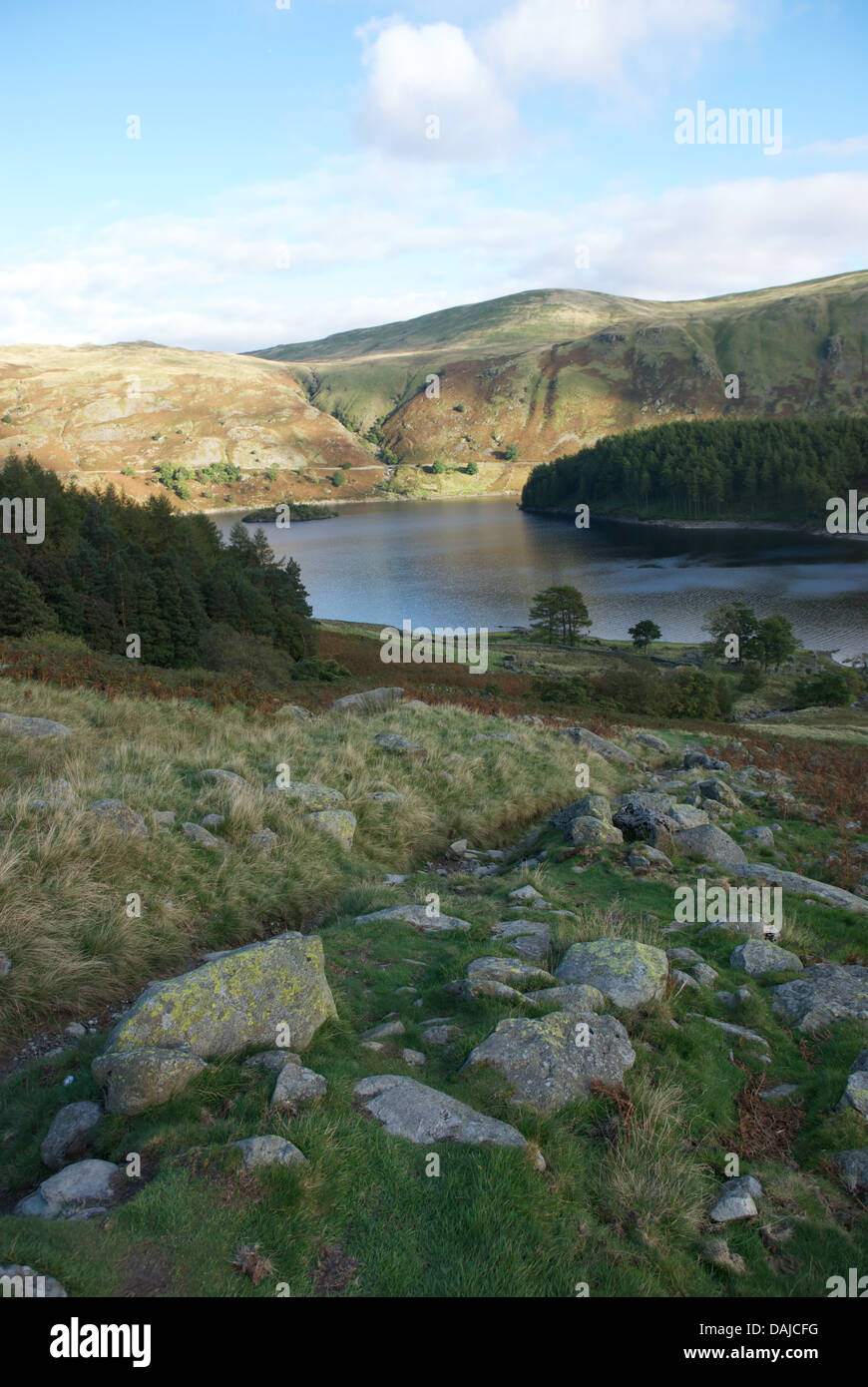 Haweswater trees lake district hi-res stock photography and images - Alamy
