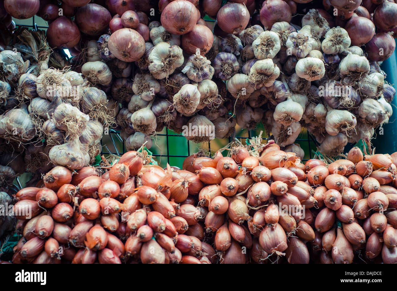 Garlic Display High Resolution Stock Photography and Images - Alamy