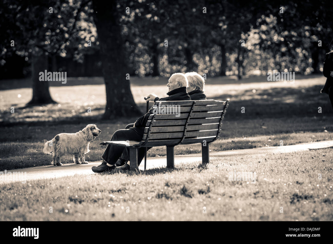 A senior couple sitting on a park bench on Primrose Hill, London Stock ...