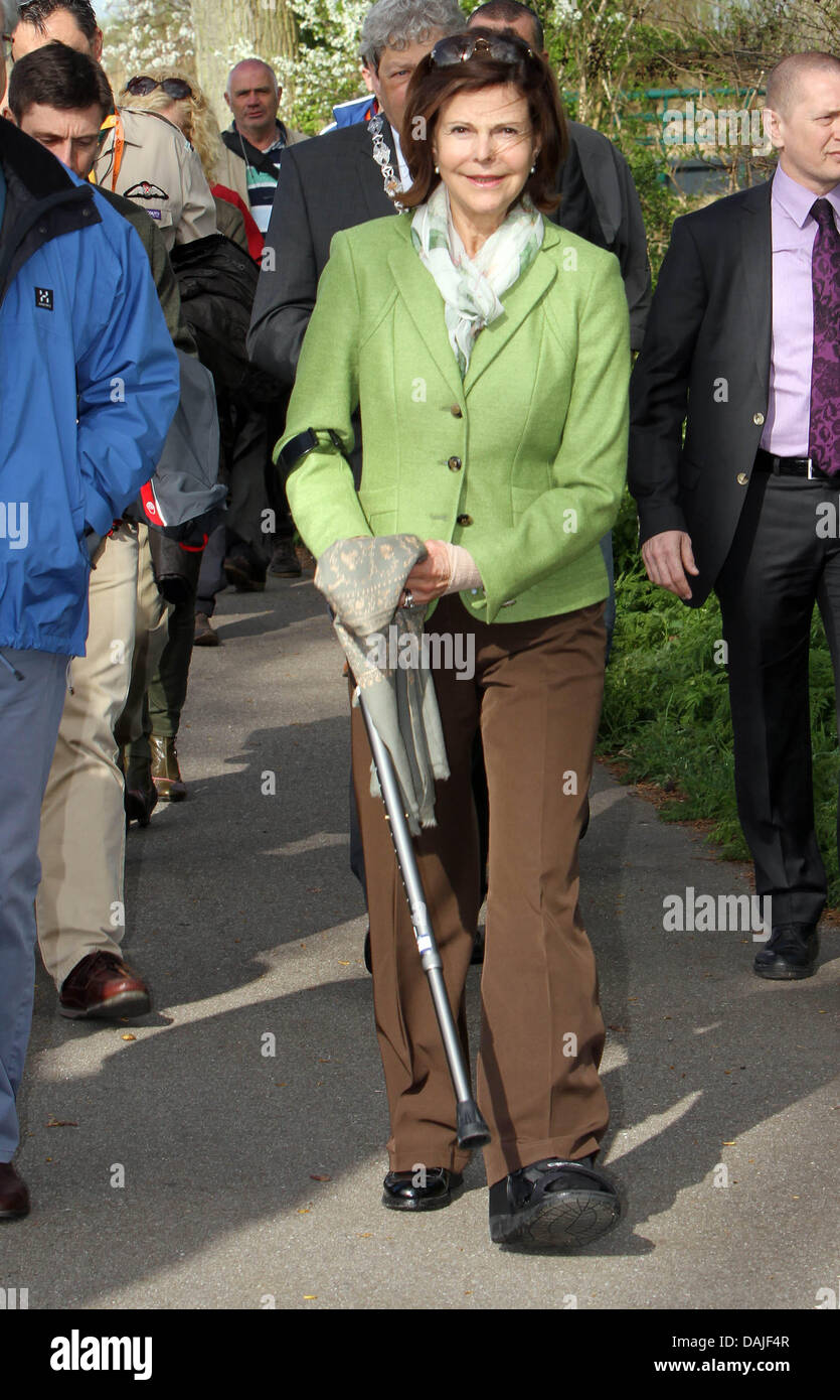 Queen Silvia of Sweden attends the 'Scouting Orange' event with a leg ...