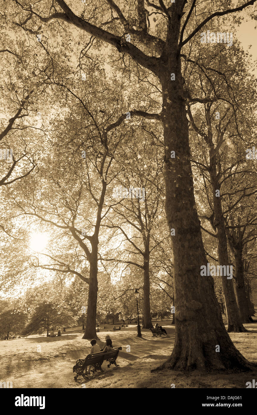 People sitting on a park bench in Hyde Park, London, United Kingdom ...