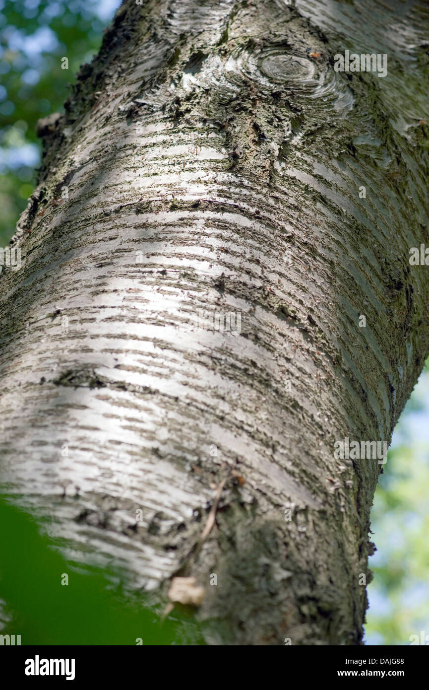 Patterns of sweet hi-res stock photography and images - Alamy
