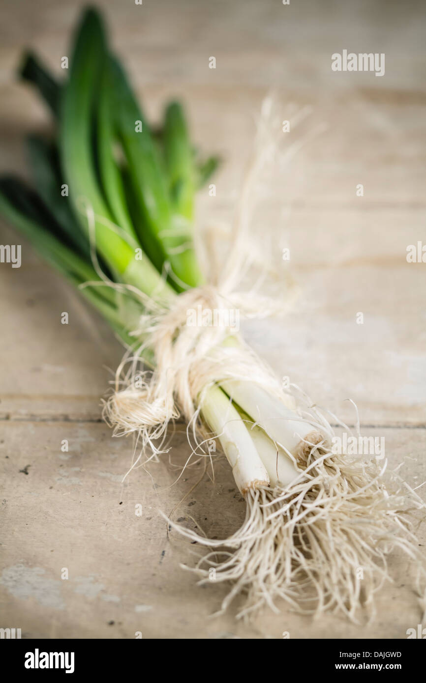 Bunch of spring onions tied with string, close up Stock Photo - Alamy