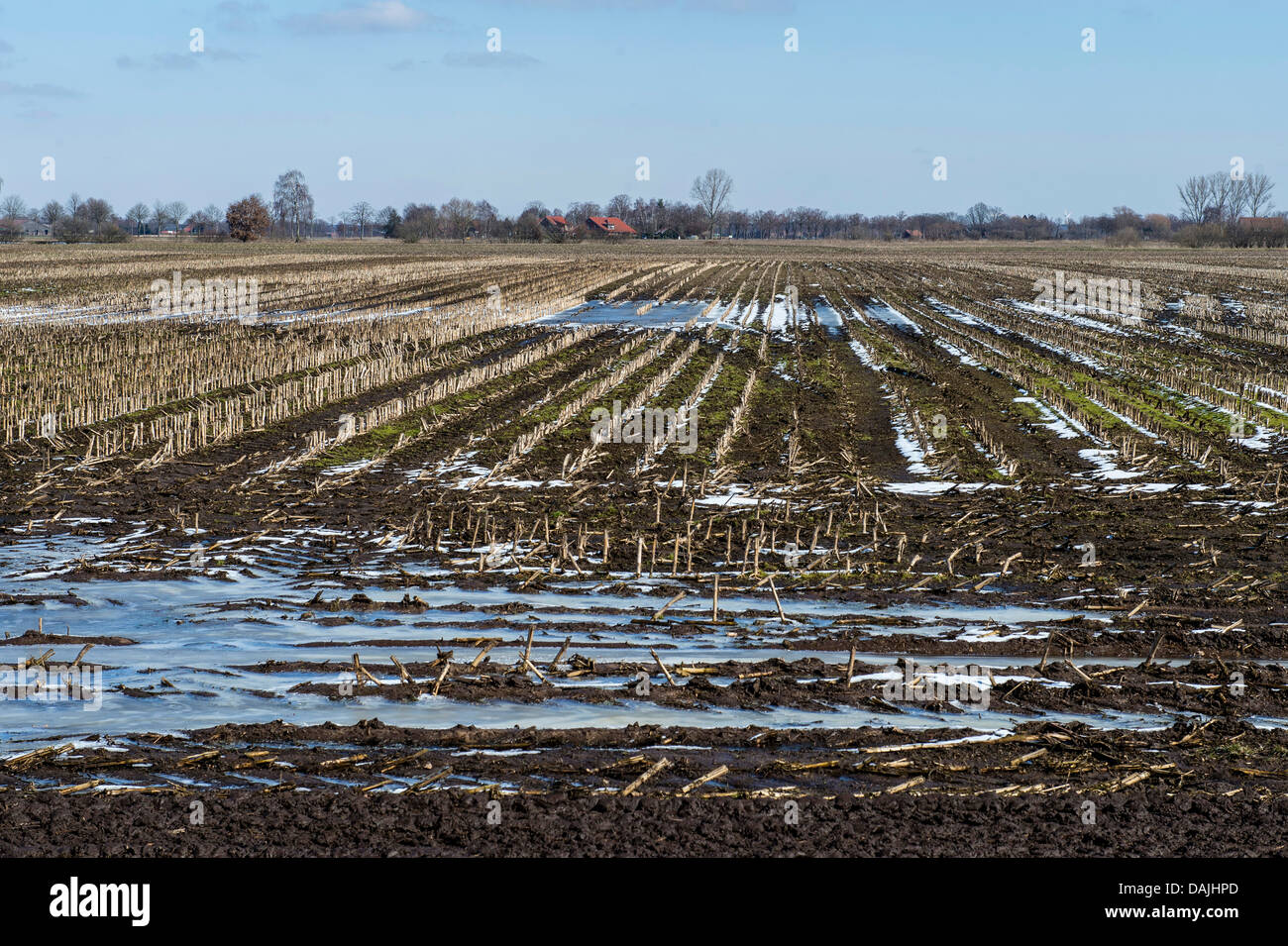 Stubble field in former oppenweher moor hi-res stock photography and ...