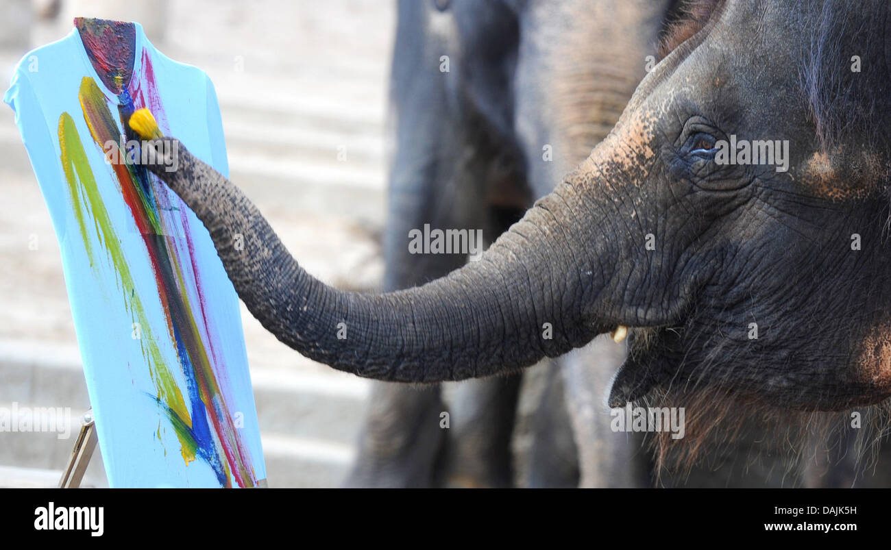 An elephant paints a picture at the zoo in Hanover, Germany, 15 April ...
