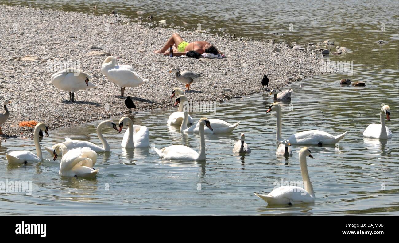 A person in bathing suit lie at the Isar shore to catch the first ...