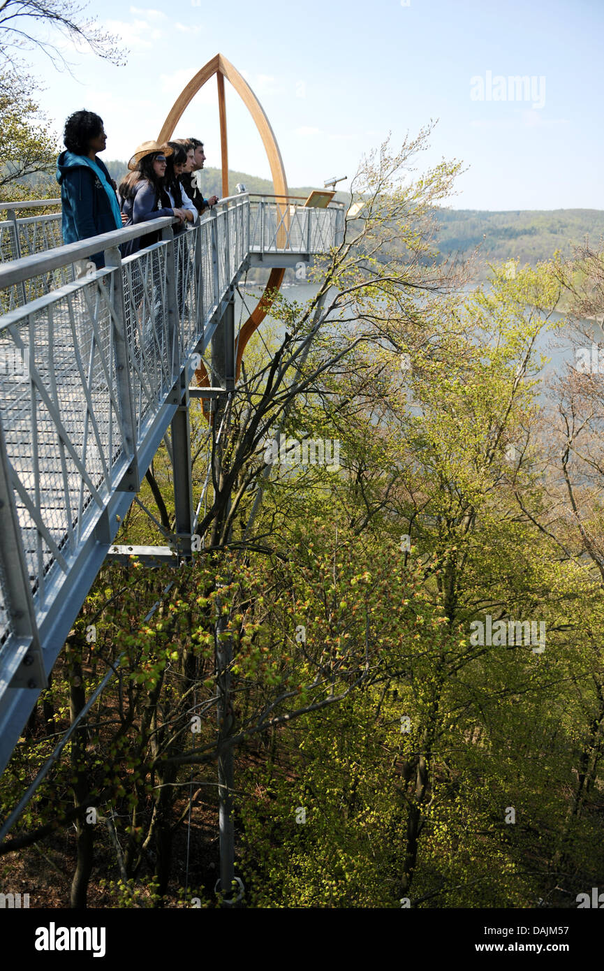 Visitors of the Treetopwalk pass trees in aerial heights in Rehbach ...