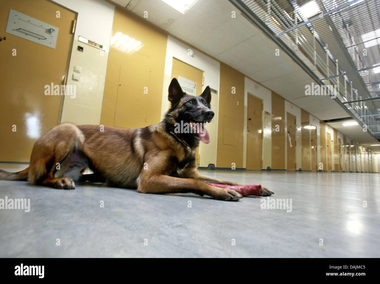 Cells drugs hi-res stock photography and images - Alamy