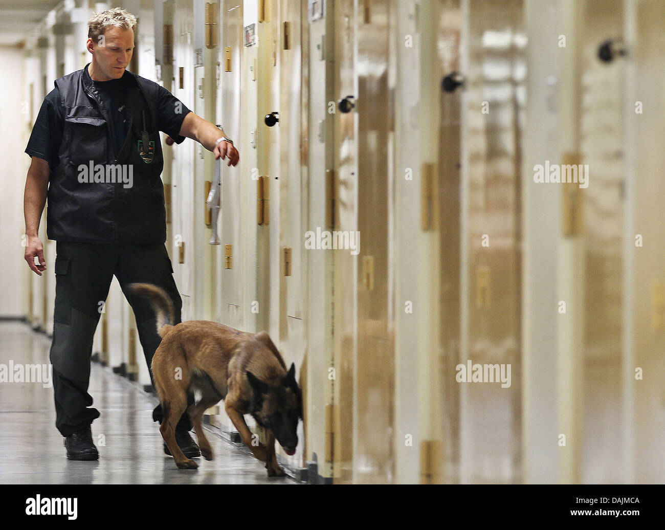 Sheepdog Gina goes on a drug patrol in the prison of Ossendorf, Cologne ...