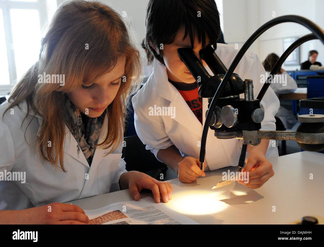 The pupils Lisa (L) und Camilla investigate different types of leather ...