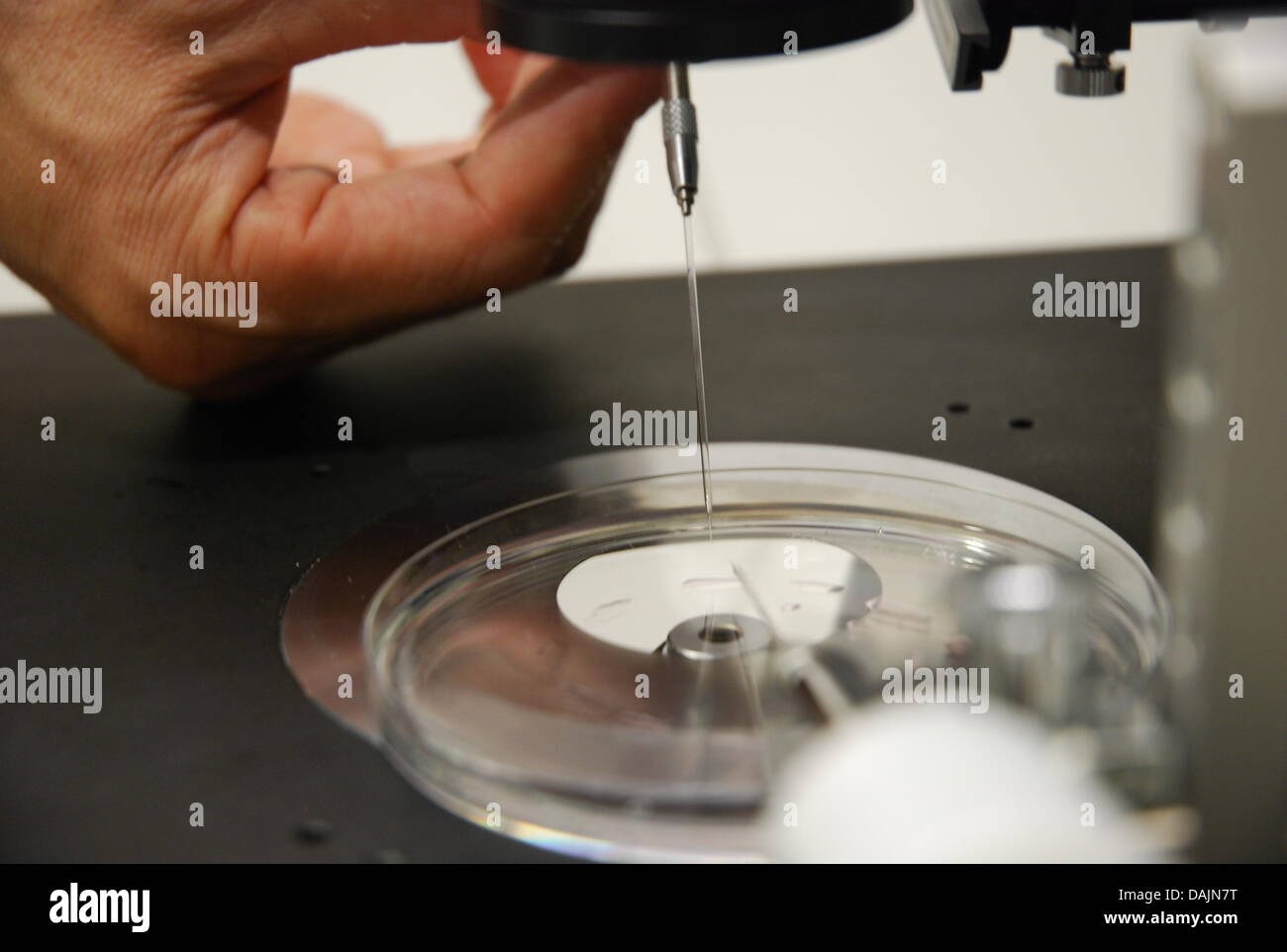 A scientists performs a nuclear transfer at the microscope at the Max ...