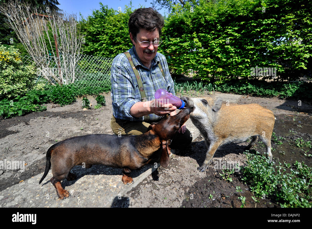 Silverster hi-res stock photography and images - Alamy