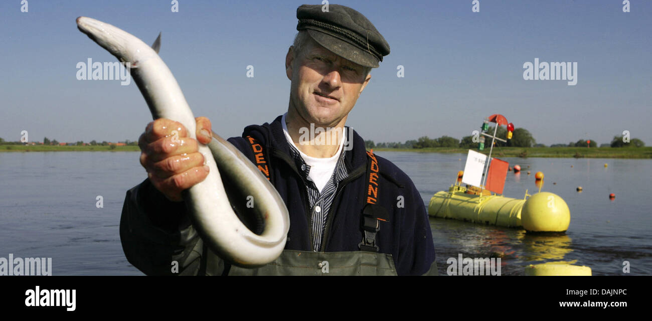 Shrinking animal population hi-res stock photography and images - Alamy