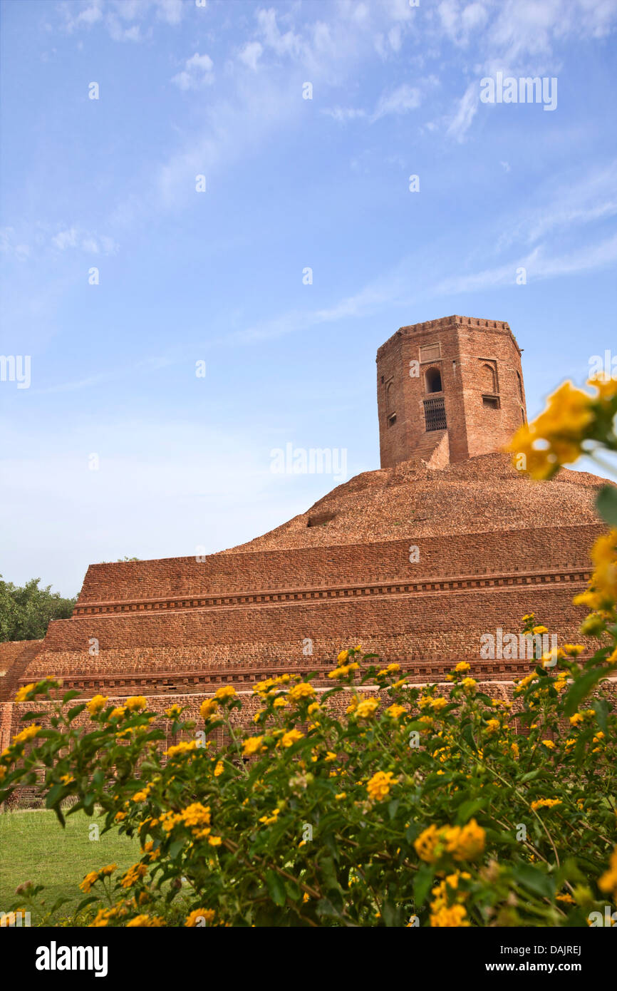 Ruins of Buddhist stupa, Chaukhandi Stupa, Sarnath, Varanasi, Uttar ...