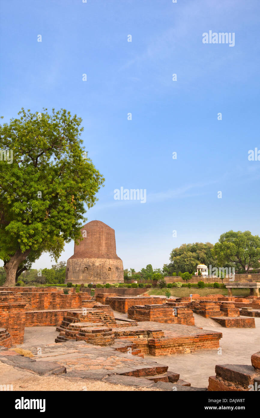 Ruins at archaeological site with Dhamek Stupa in the background ...