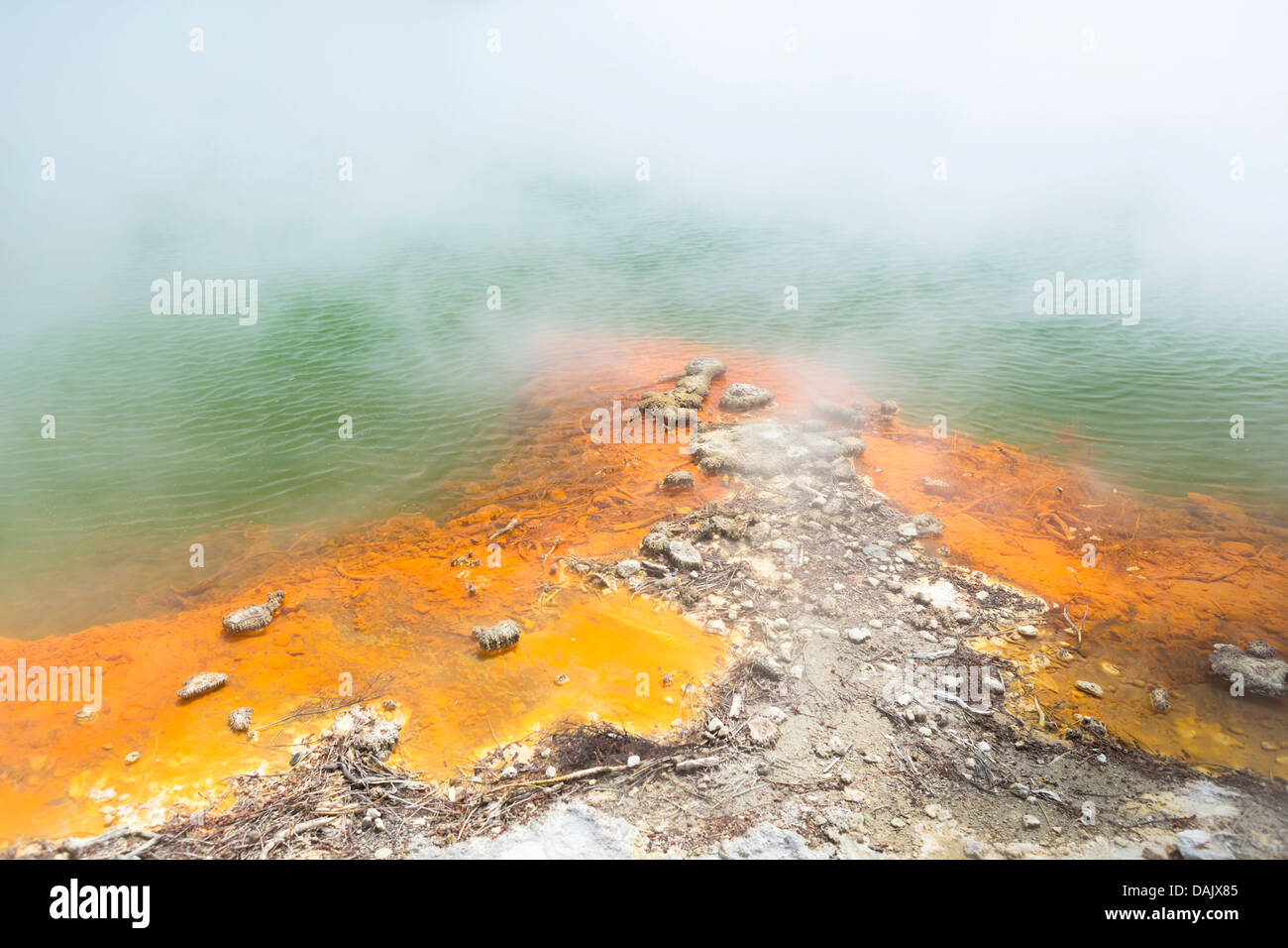 Champagne Pool, hot spring Stock Photo - Alamy