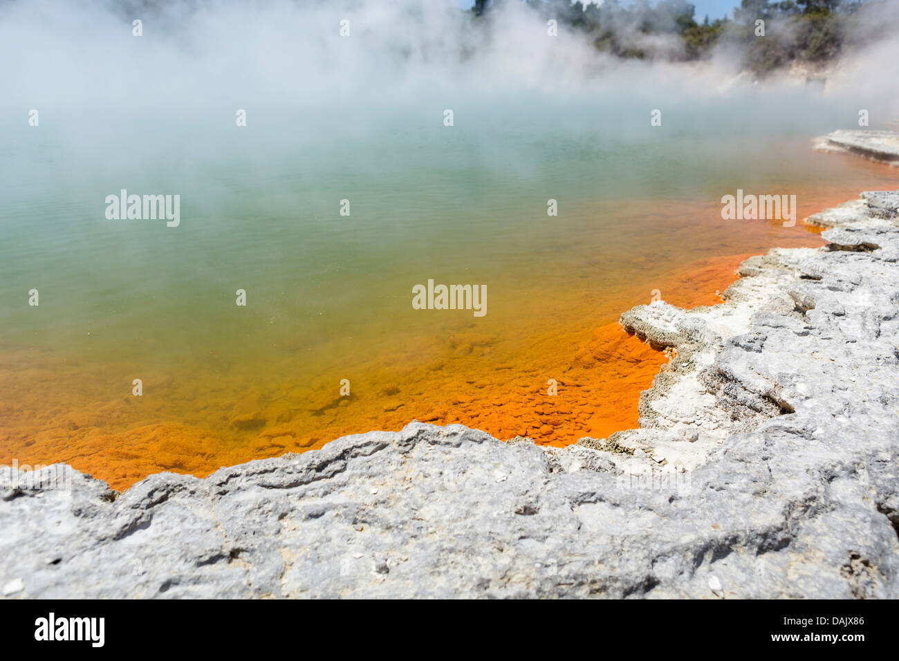 Thermal spring australia hi-res stock photography and images - Alamy