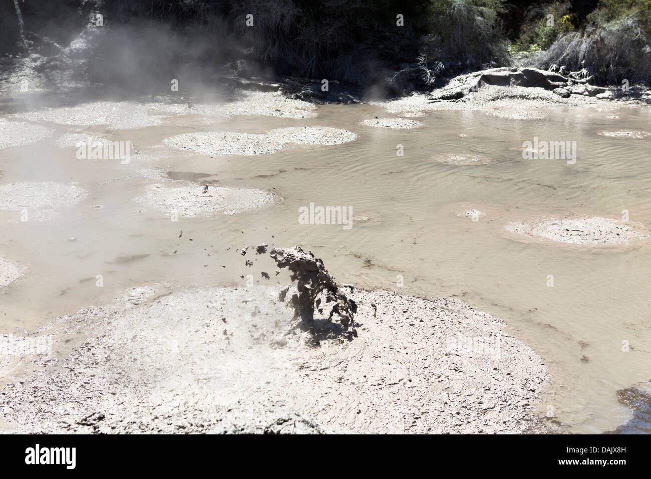 Mud pool with an eruption Stock Photo - Alamy