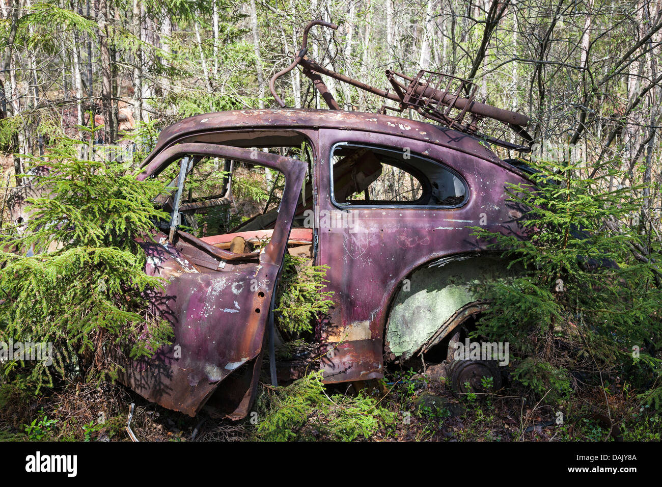 Old car wreck in the car cemetery of Kyrkoe Mosse Stock Photo - Alamy