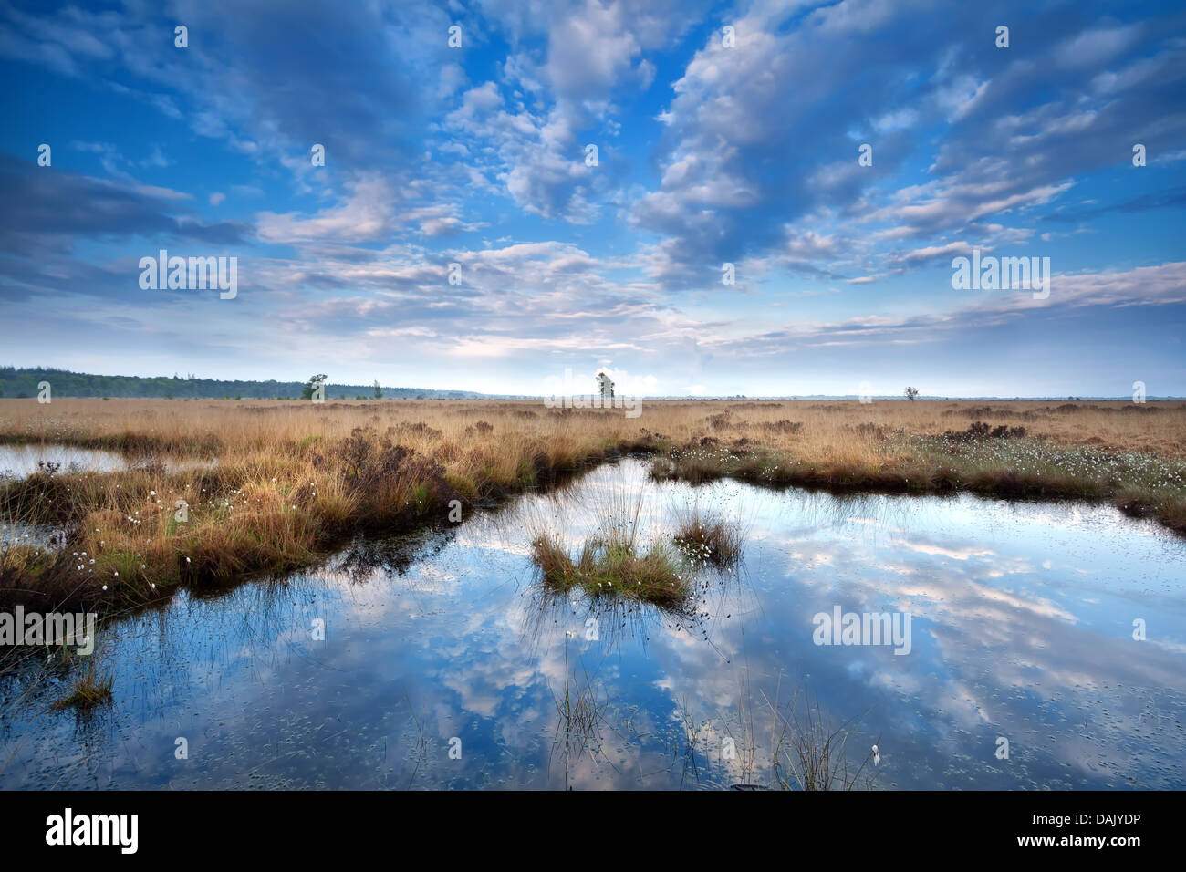 blue sky cloudscape reflected in wild lake, Drenthe, Netherlands Stock ...