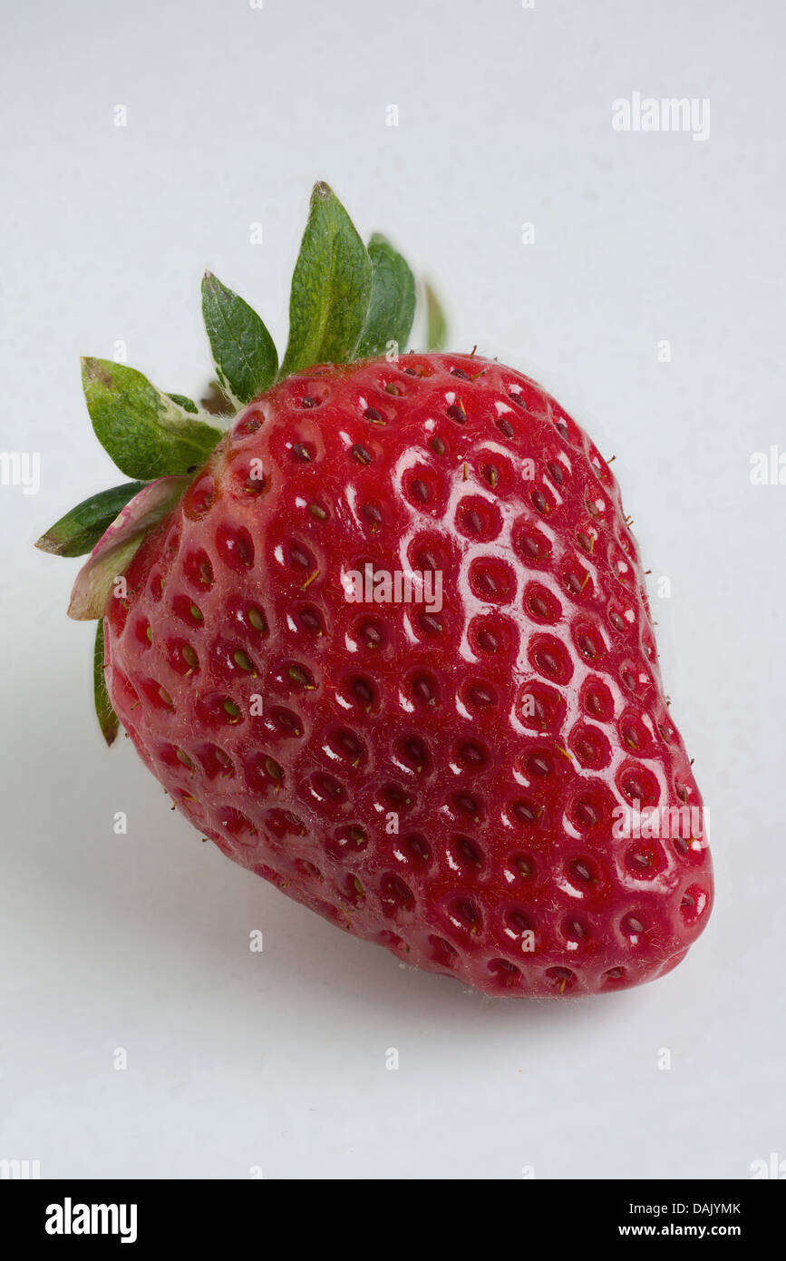 Plain strawberry hi-res stock photography and images - Alamy