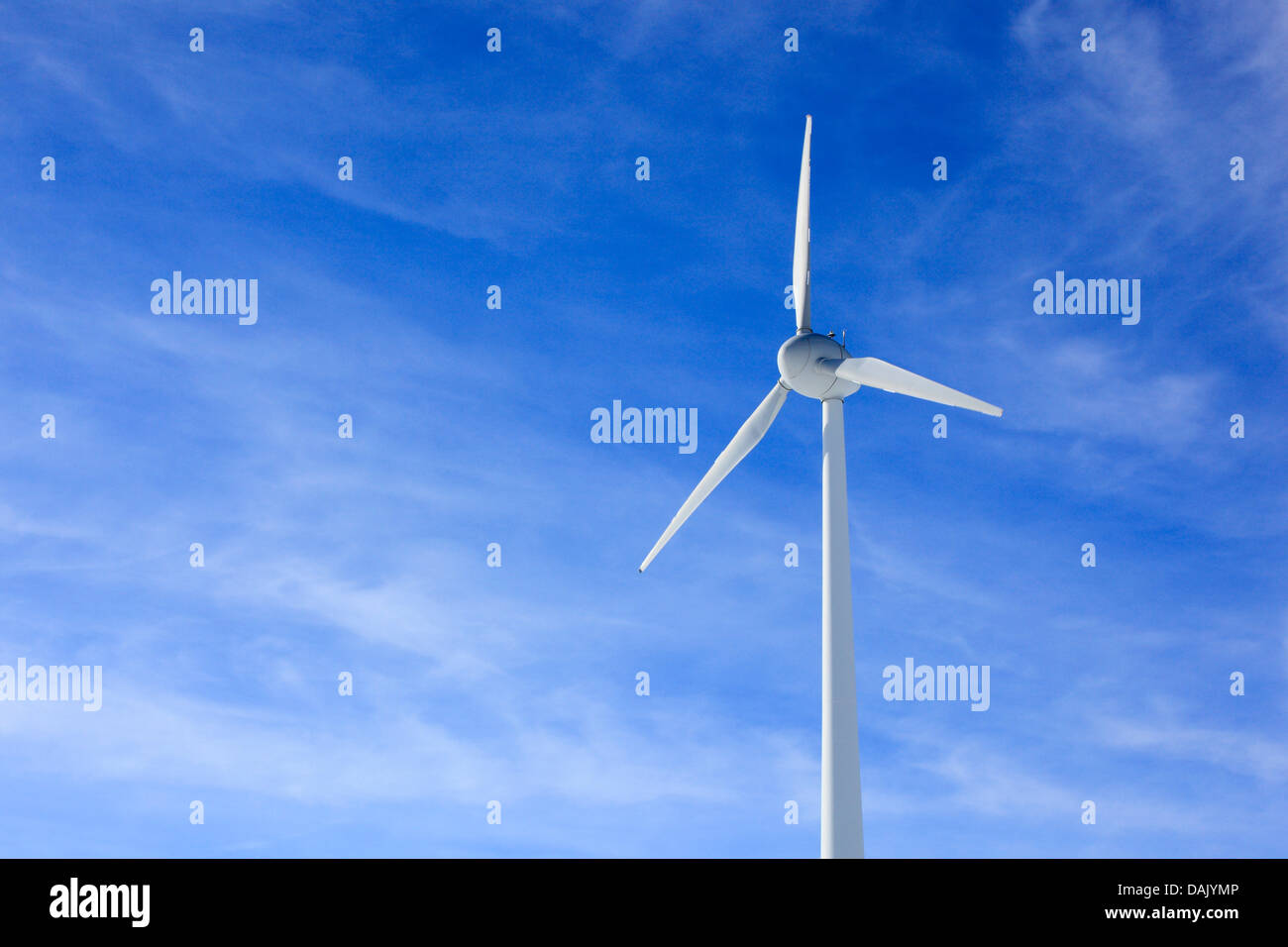 Standing Still High Resolution Stock Photography and Images - Alamy