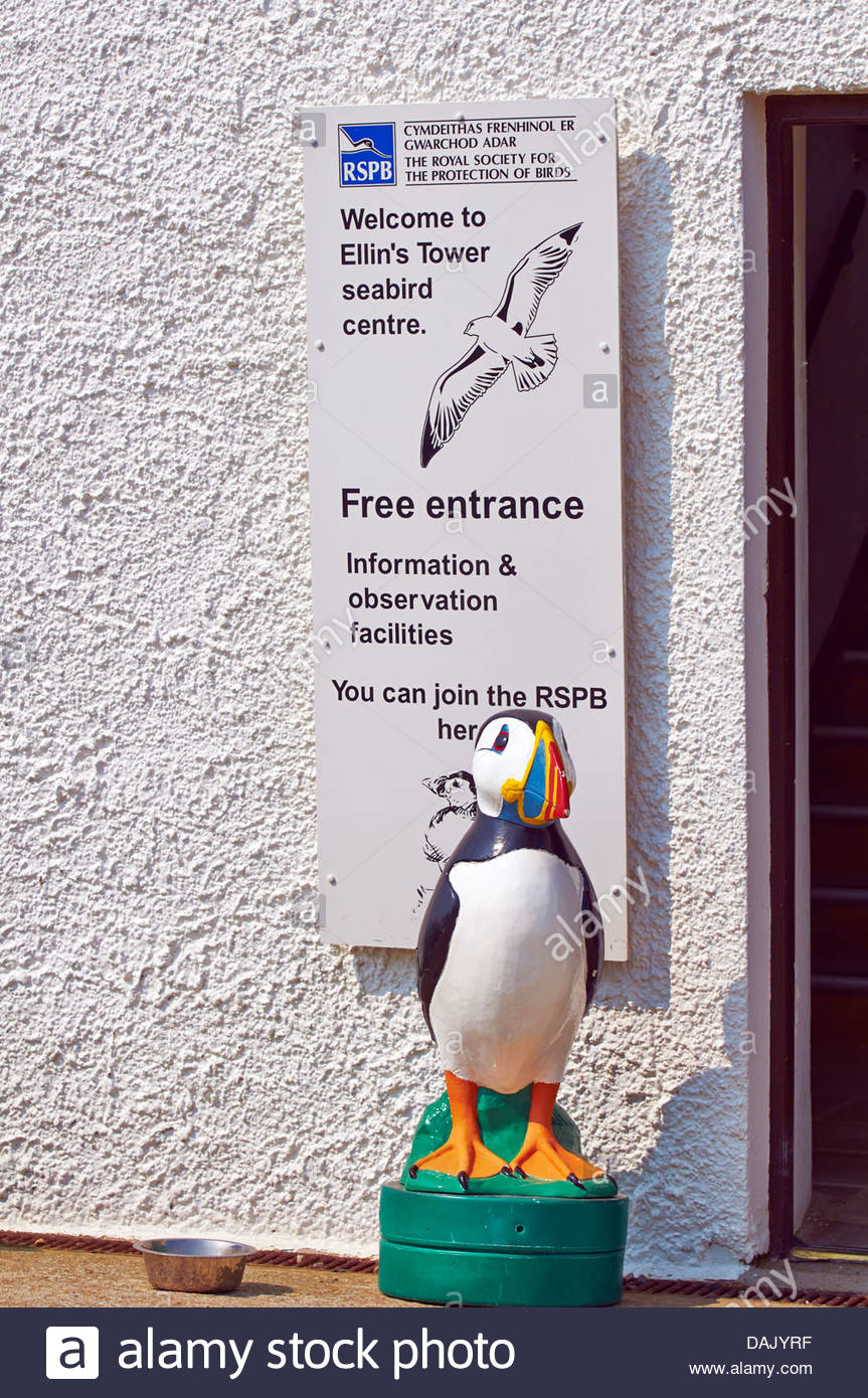 Seabird Plastic Stock Photos & Seabird Plastic Stock Images - Alamy