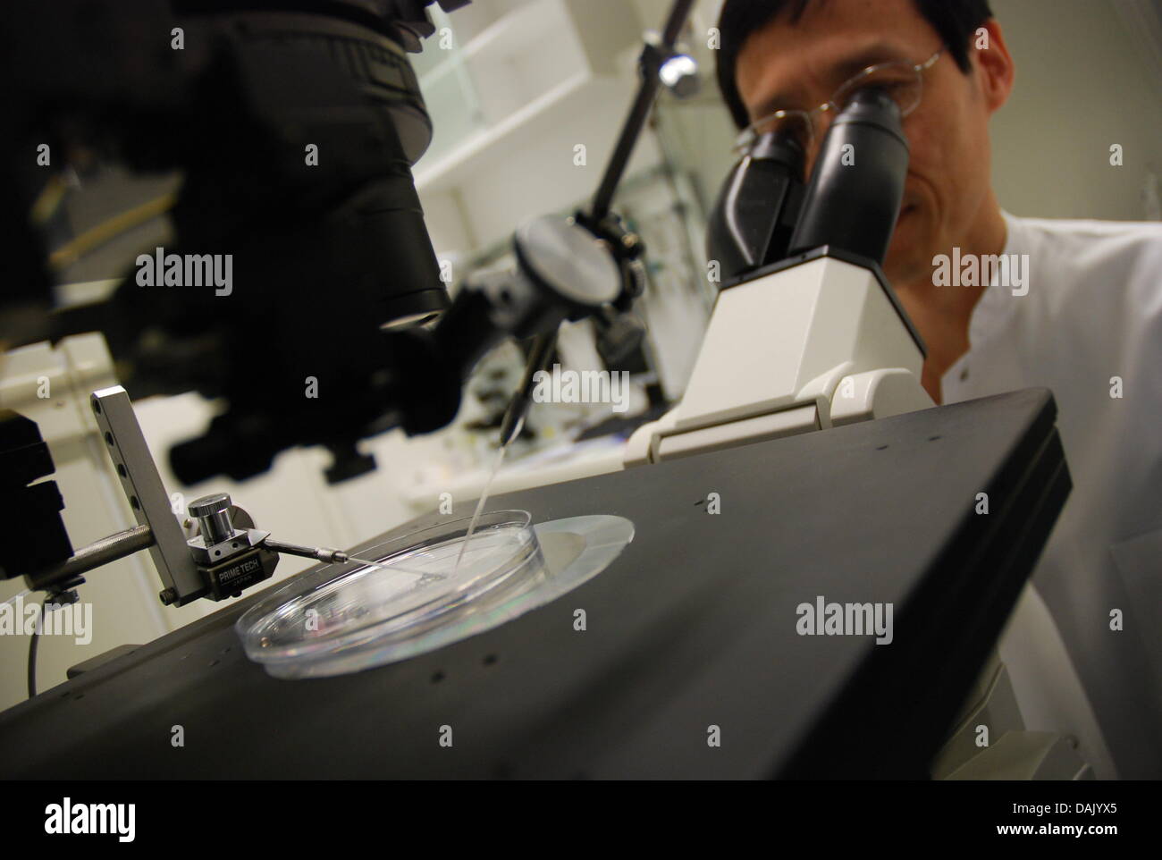 (HANDOUT) A handout photo dated 25 June 2013 shows a scientist ...