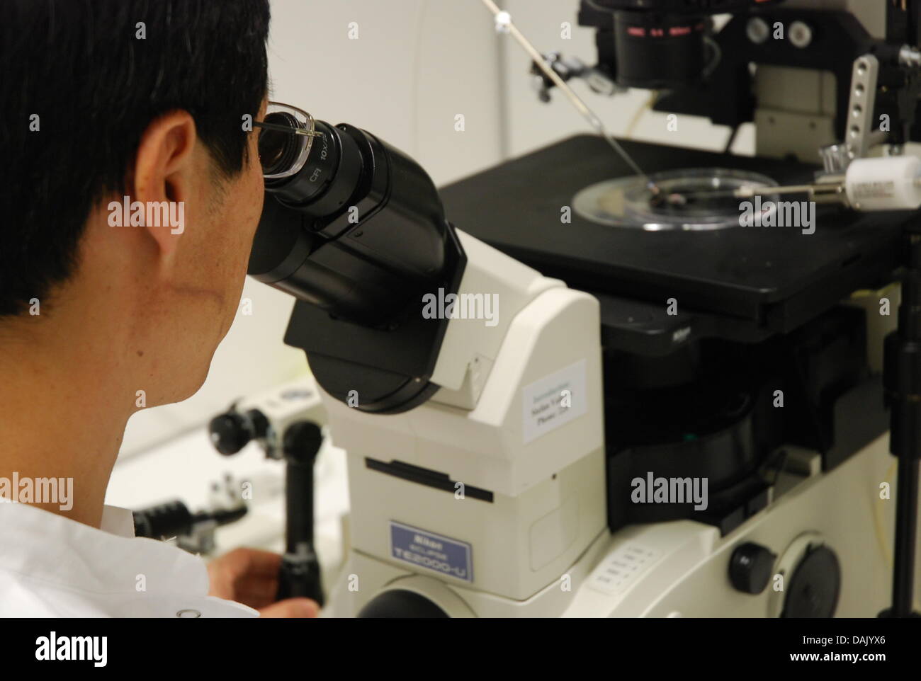 (HANDOUT) A handout photo dated 25 June 2013 shows a scientist ...