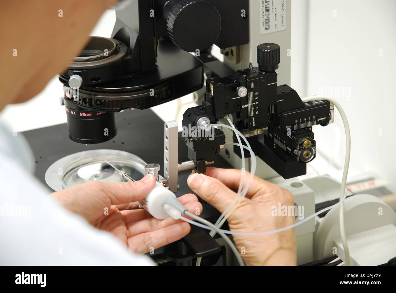 (HANDOUT) A handout photo dated 25 June 2013 shows a scientist ...