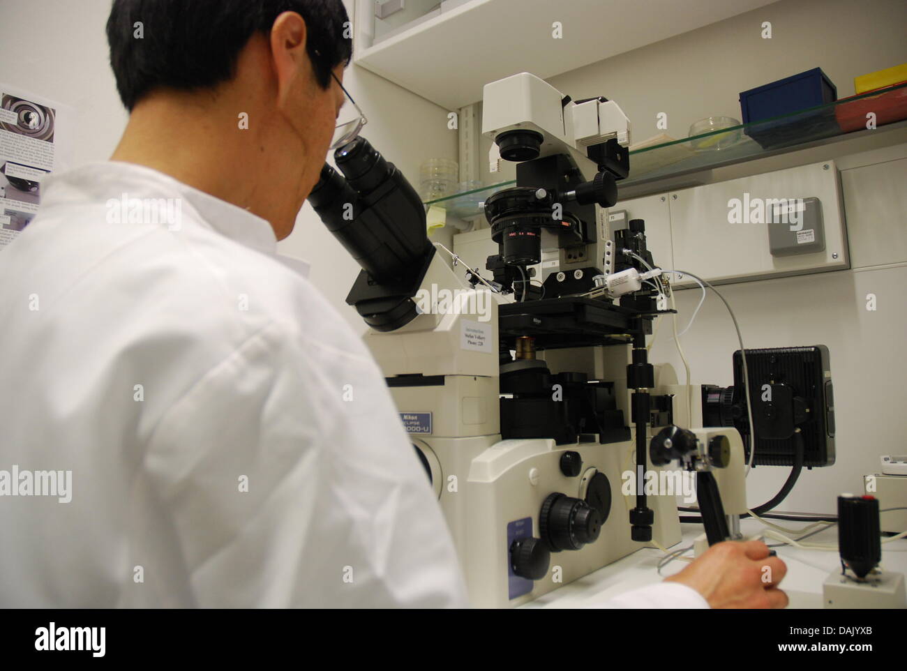 (HANDOUT) A handout photo dated 25 June 2013 shows a scientist ...