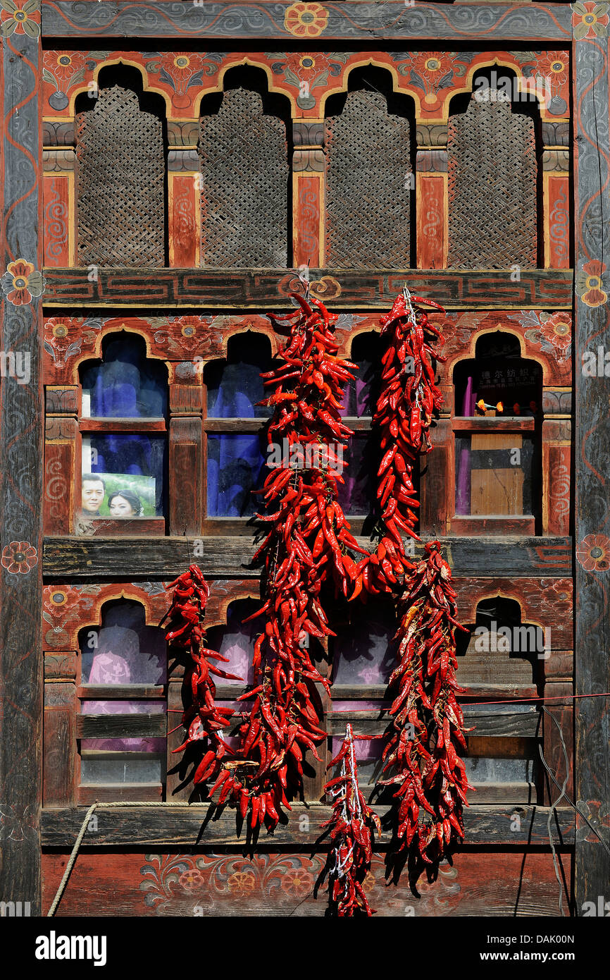 Peppers hanging on window hi-res stock photography and images - Alamy