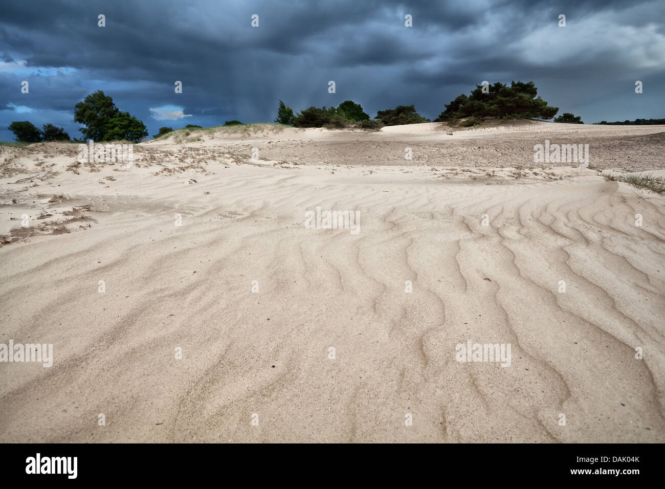 windy sand texture on dune and clouded sky Stock Photo - Alamy