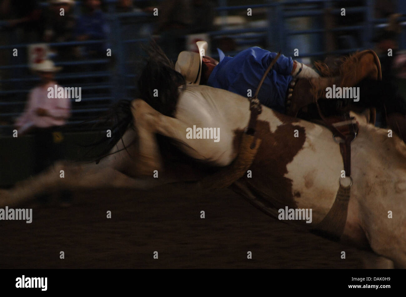Rodeo history hi-res stock photography and images - Alamy