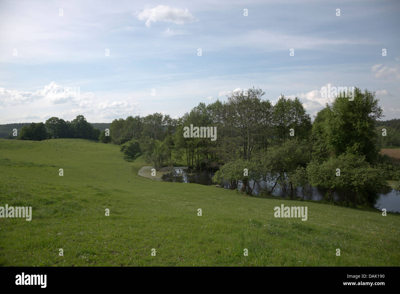 Green landscape - field and trees by a pond Stock Photo - Alamy