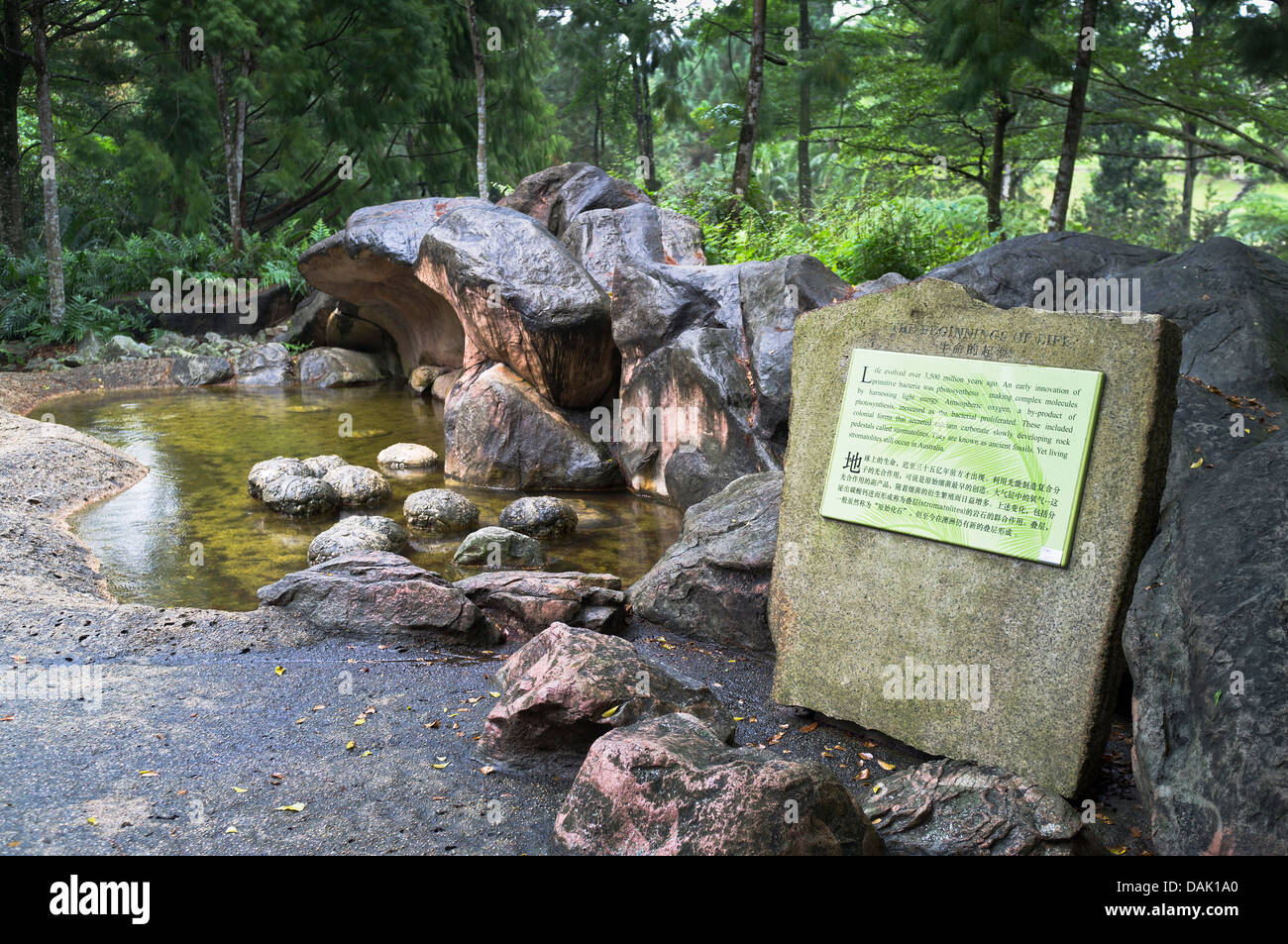 dh BOTANIC GARDENS SINGAPORE Evolution Garden botanical park Stock ...