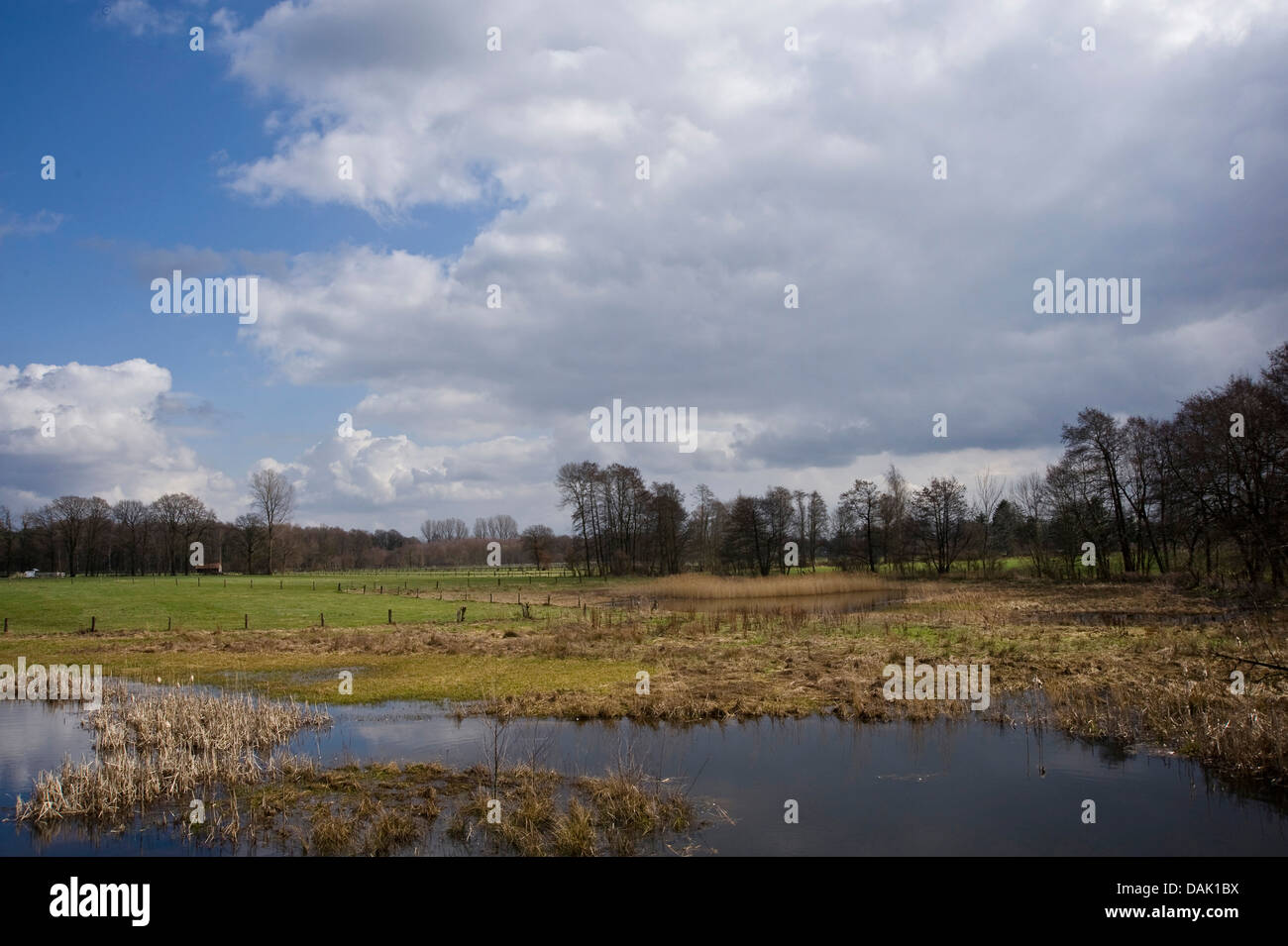 landscape in spring, Germany, North Rhine-Westphalia, Muensterland ...
