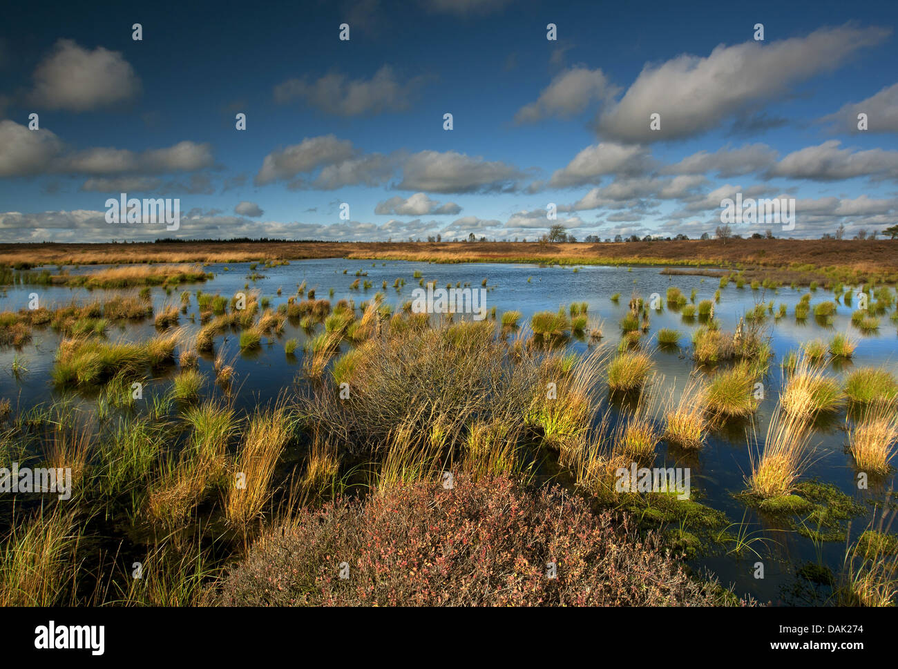 The fens hi-res stock photography and images - Alamy