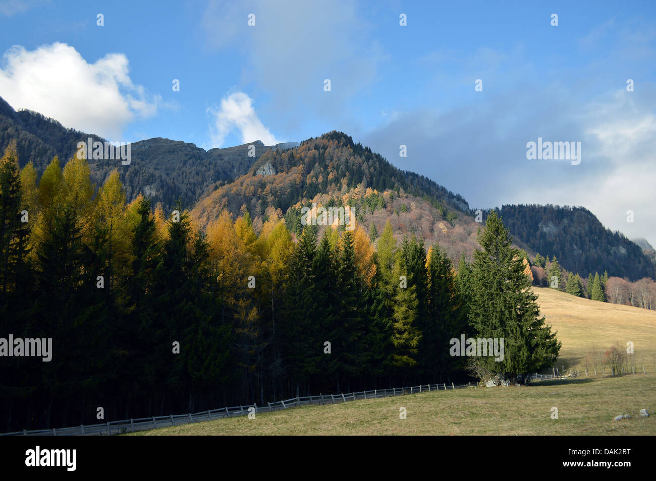 Foothills light hi-res stock photography and images - Alamy