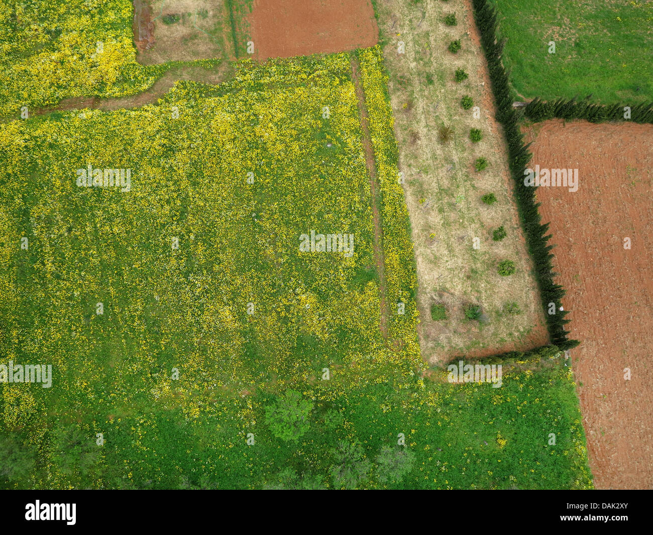 aerial view of a cultural landscape with flower meadow, fields, almond ...