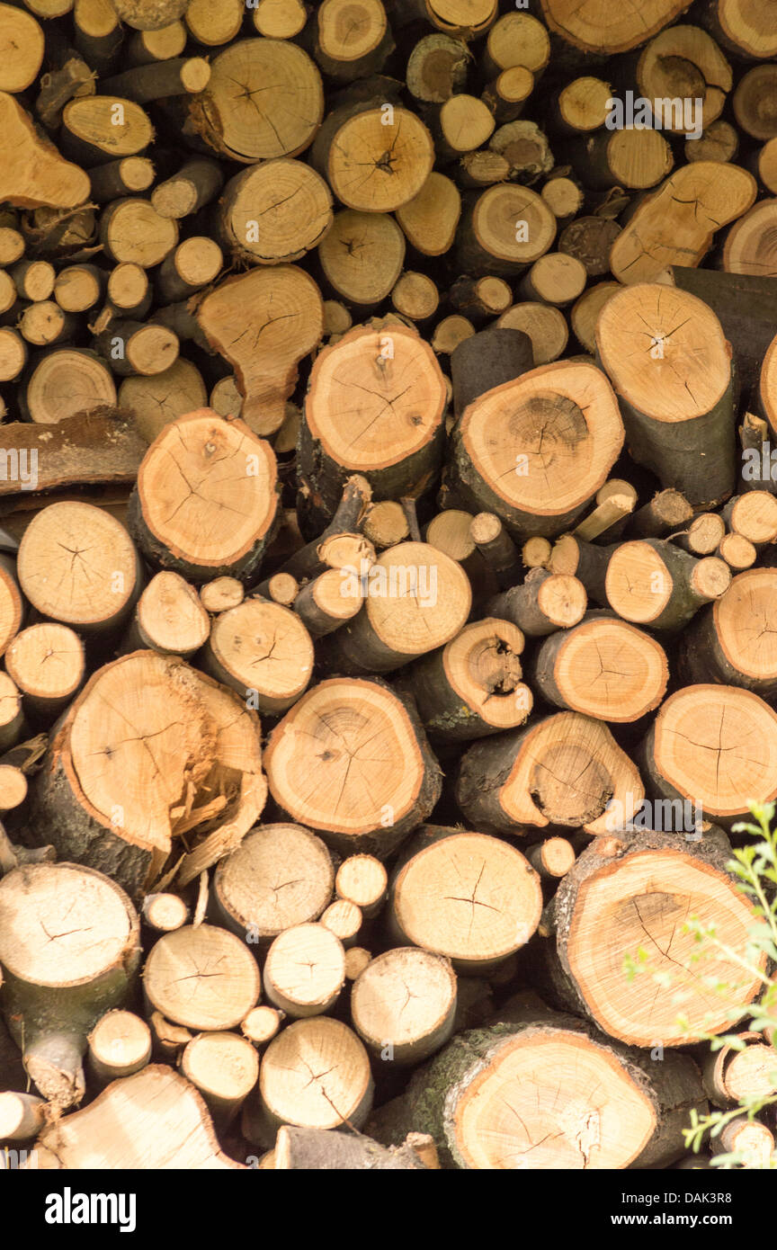 Stacked logs hi-res stock photography and images - Alamy