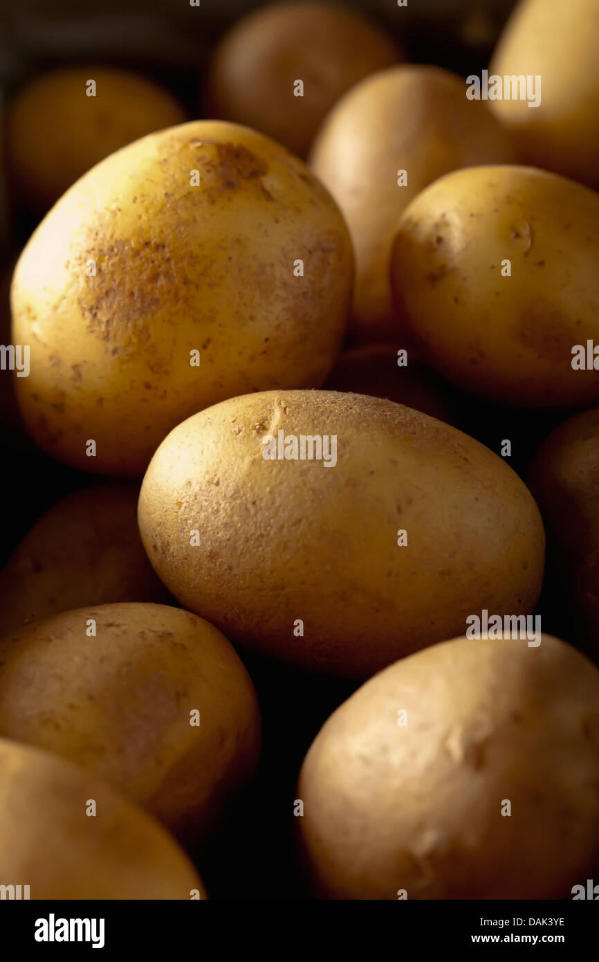 Potatoes, close up Stock Photo - Alamy
