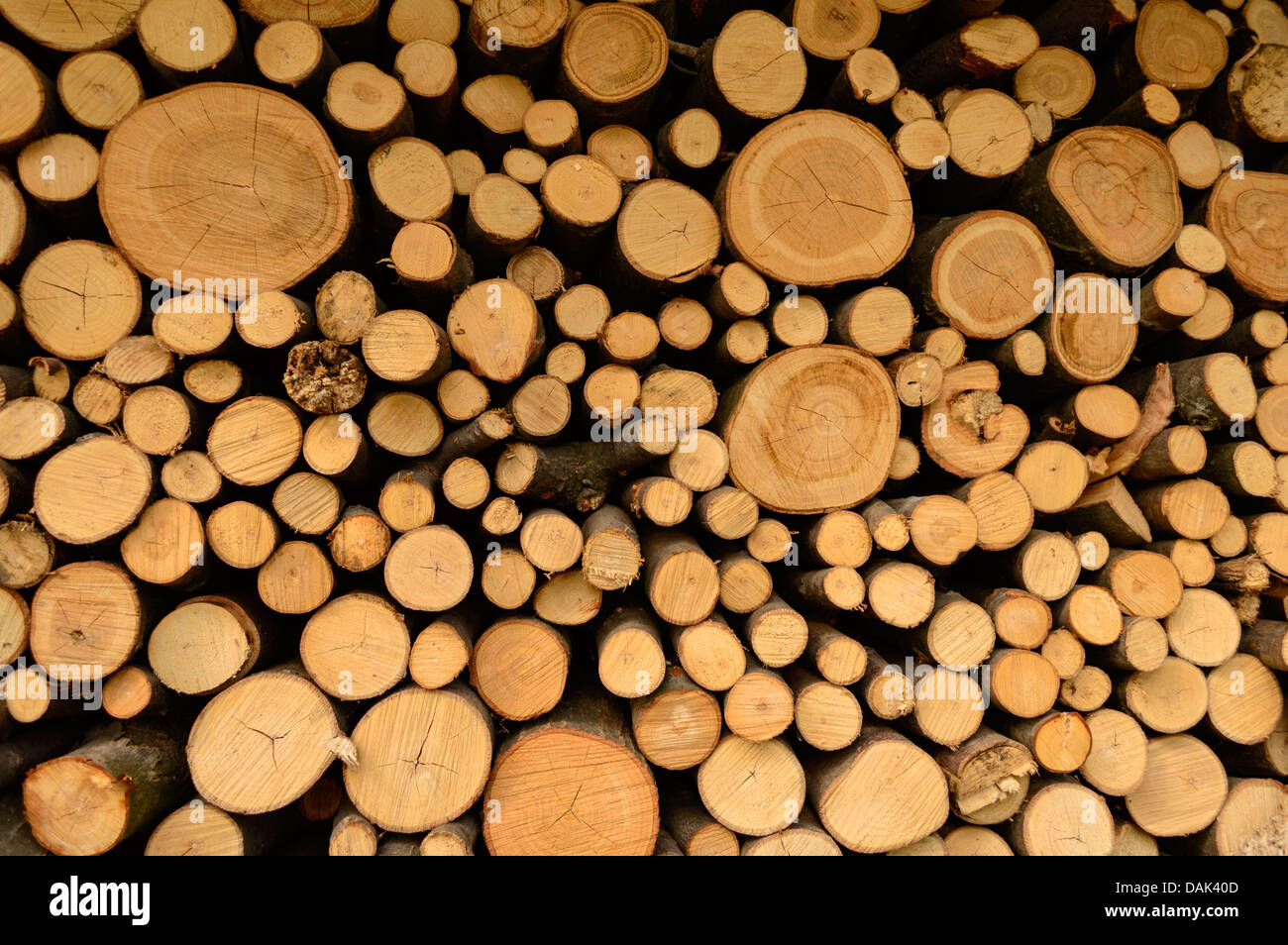 Stacked logs hi-res stock photography and images - Alamy