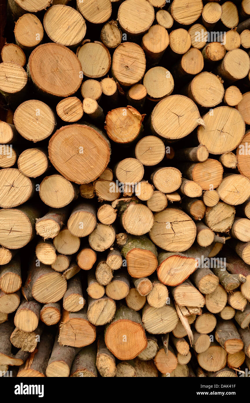 Stacked logs hi-res stock photography and images - Alamy