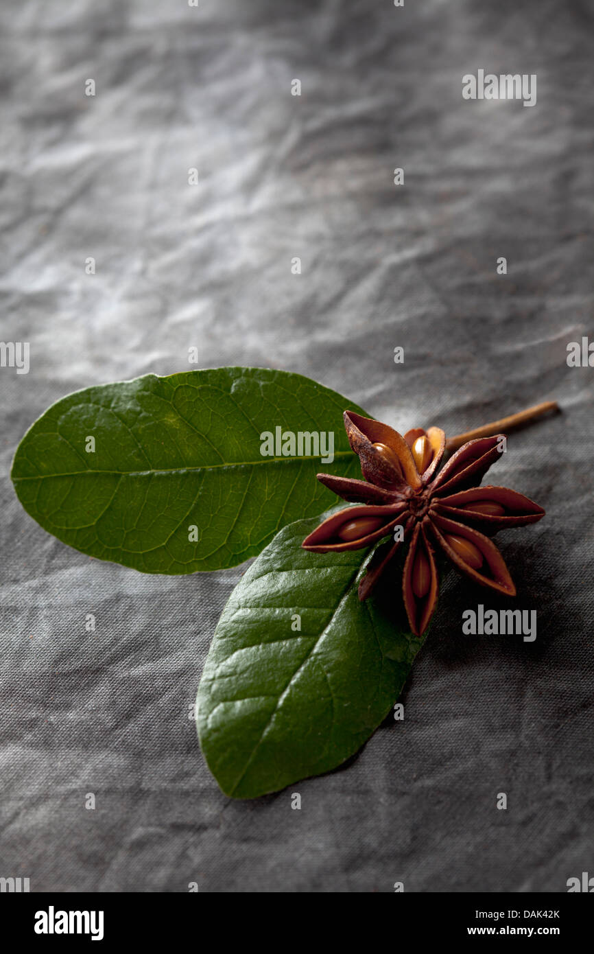 Textile star hi-res stock photography and images - Alamy