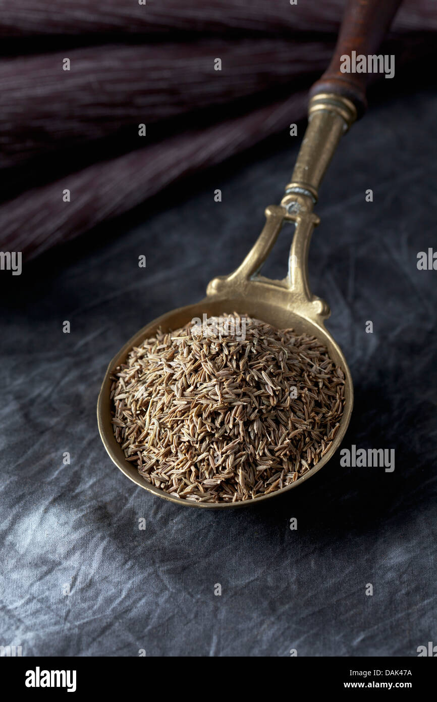 Cumin seeds on spoon hi-res stock photography and images - Alamy